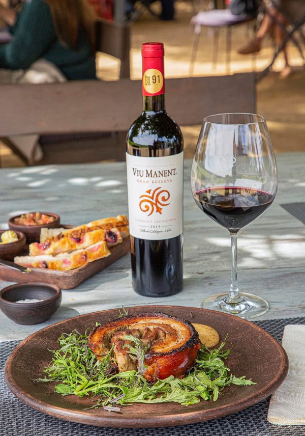 Viu Manent Gran Reserva Cabernet Sauvignon | WineKings