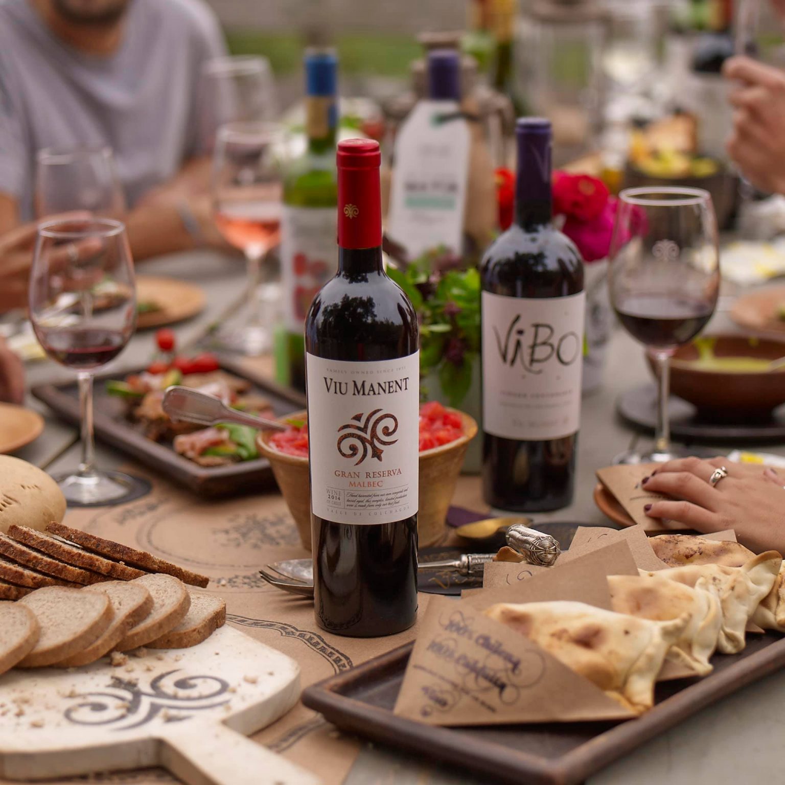 Viu Manent Gran Reserva Malbec | WineKings