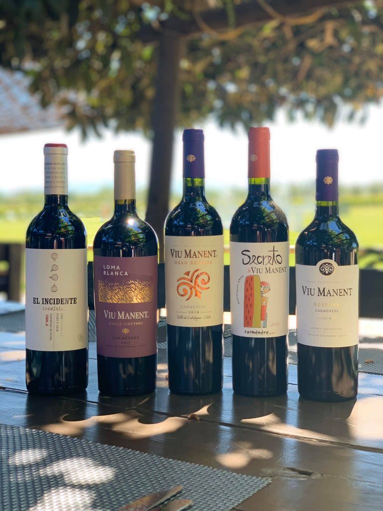 Rượu vang Viu Manent Reserva Carmenere | WineKings