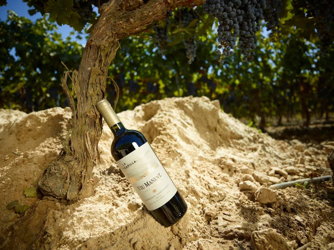 Viu Manent Single Vineyard Cabernet Sauvignon | WineKings