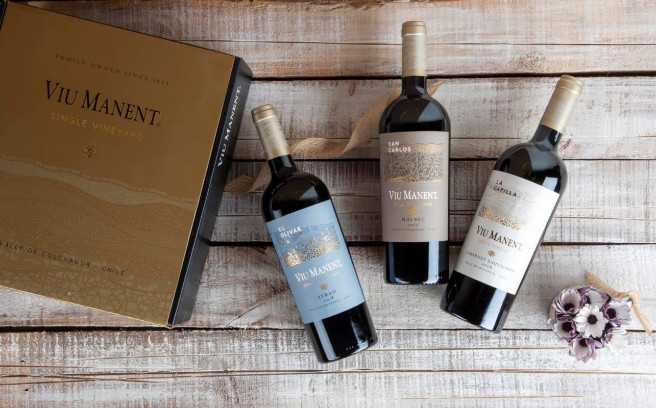 Viu Manent Single Vineyard Malbec | WineKings