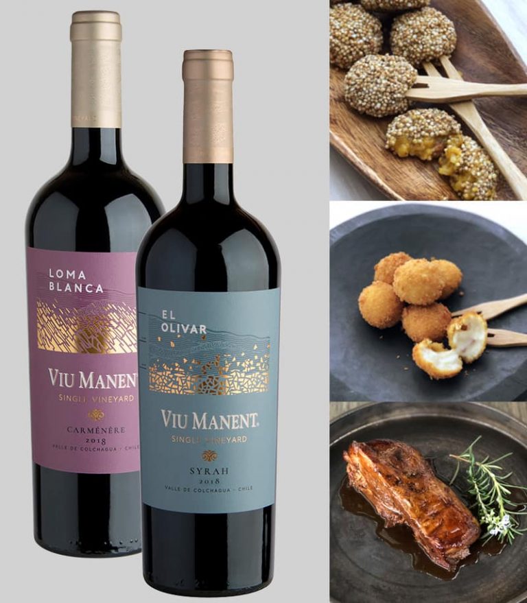 Viu Manent Single Vineyard Syrah | WineKings