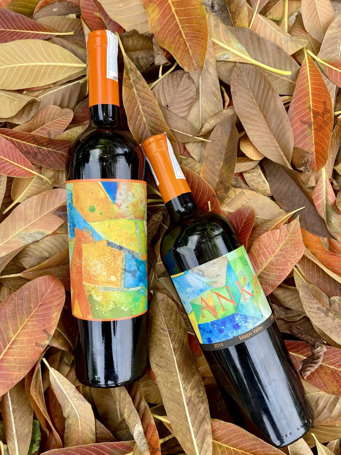 Rượu vang PARGUA ANKA Chile | WineKings