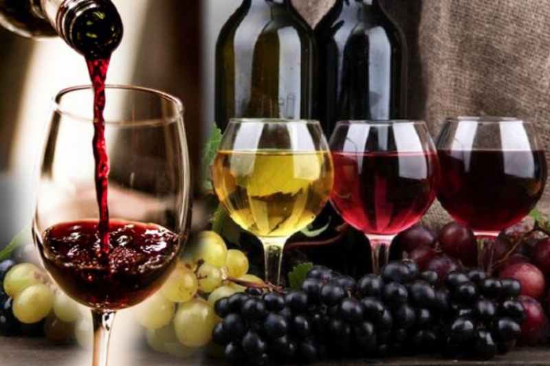 Top 10+ chai "Rượu vang 15 độ" ngon - chất tại Winekings